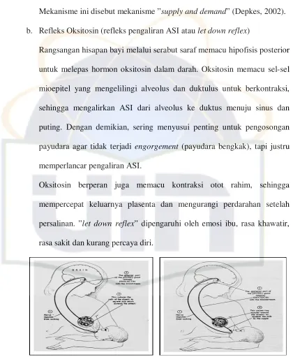 Faktor-Faktor yang berhubungan dengan waktu menyusui pertama kali pada ...