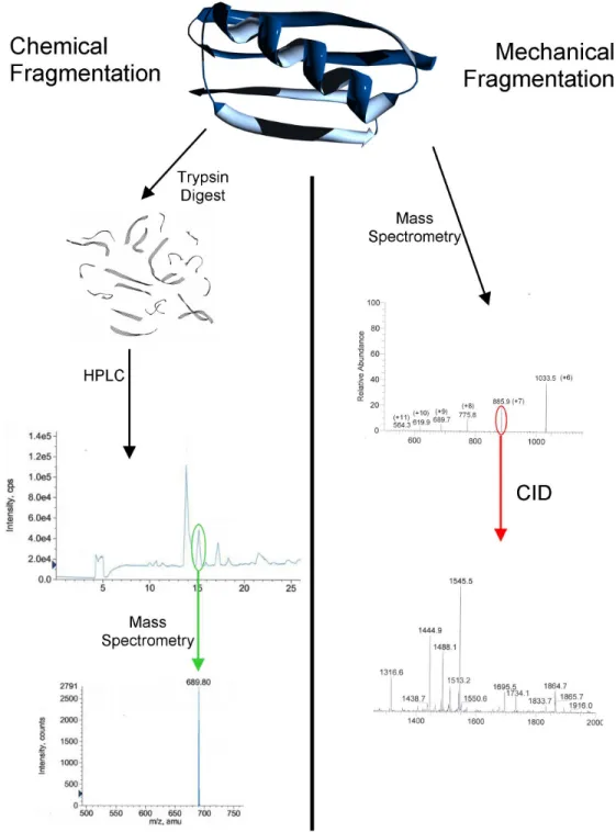 Bibliography - Collision-Induced Dissociation of Gβ1