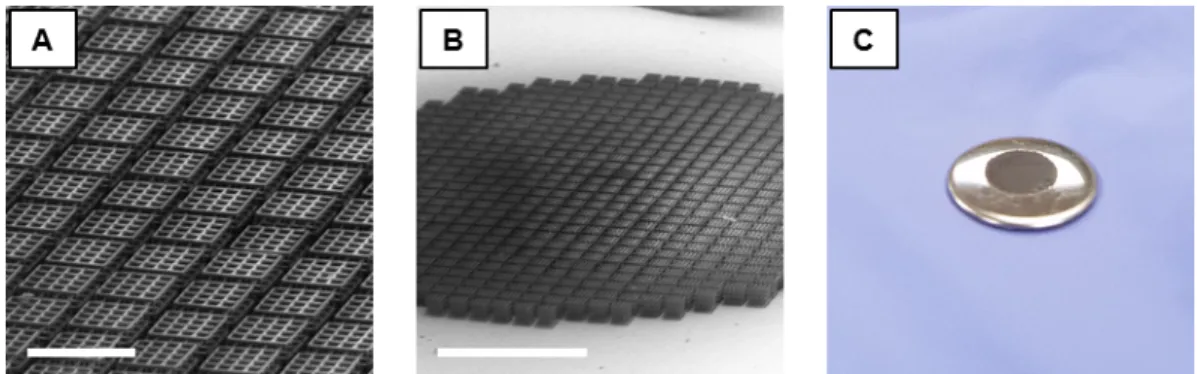 Commercial Foam Electrode Comparison - ROLE OF CATHODE ARCHITECTURE IN ...