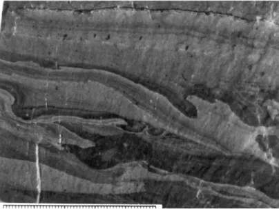 Post-Depositional Sedimentary Structures - SEDIMENTARY STRUCTURES AND ...
