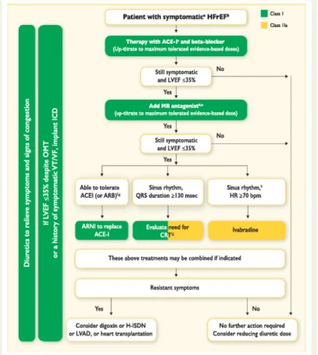 Stenosis dan Regurgitasi Pulmonal - TE STEMI
