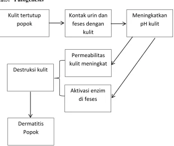 Tingkat Pengetahuan Ibu terhadap Faktor Risiko Dermatitis Popok pada ...