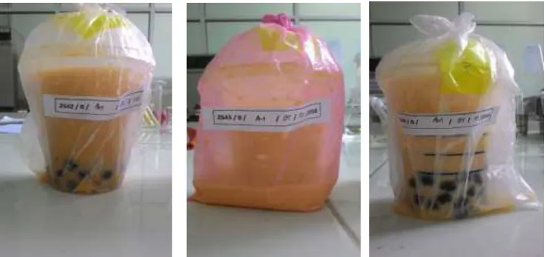 Analisis Kandungan Escherichia coli dan Zat Pewarna pada Minuman Bubble ...