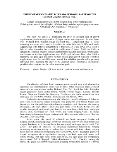 Embriogenesis Somatik Jahe Pada Berbagai Zat Pengatur Tumbuh (Zingiber ...