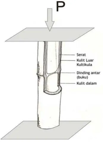 Perilaku Balok Komposit Bambu Betung-Beton Dengan Bambu Diisi Di Dalam ...