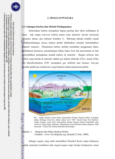 2. TINJAUAN PUSTAKA. Diagram dari Siklus Karbon Global ( Sumber : www ...