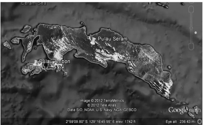 Happy Mulya Studi Rasionalisasi Jaringan Hidrologi Pulau Seram Provinsi ...