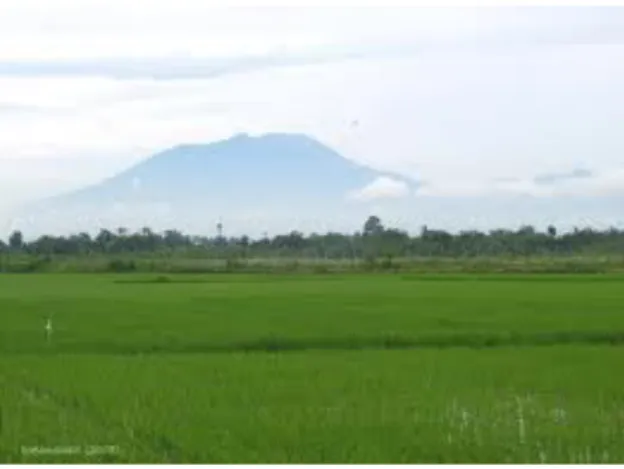 KOSAKATA DIALEK DALAM KAMUS BAHASA SUNDA, INSPIRASI KE ARAH PENYUSUNAN ...