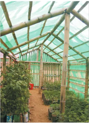 GREENHOUSE BAMBU UNTUK TANAMAN SAYUR HIDROGANIK DENGAN LISTRIK TENAGA SURYA