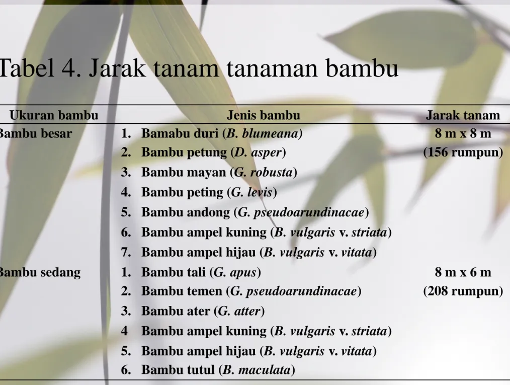 PENGELOLAAN HHBK BAMBU