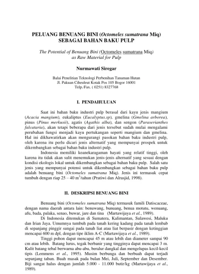 PELUANG BENUANG BINI (Octomeles sumatrana Miq) SEBAGAI BAHAN BAKU PULP