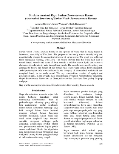 (Anatomical Structure of Surian Wood (Toona sinensis Roem))