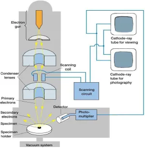 Scanning Electron Microscopy (SEM) - Karakterisasi Komposit MgO-SiO2 1 ...