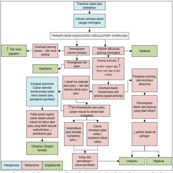 TRANSFUSION-ASSOCIATED CIRCULATORY OVERLOAD