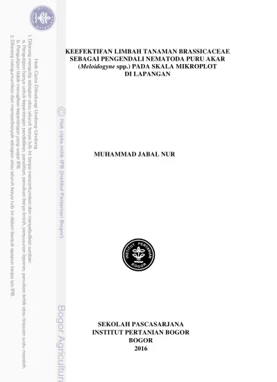 Keefektifan Limbah Tanaman Brassicaceae Sebagai Pengendali Nematoda ...