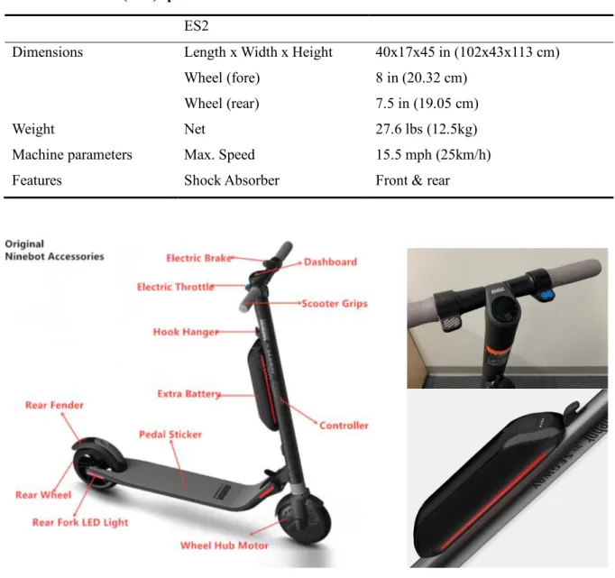 Changes in Static and Dynamic Stability after Riding an E-scooter