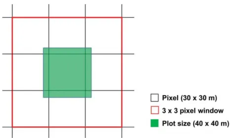 Applying the Remote Sensing Based Models to Estimate