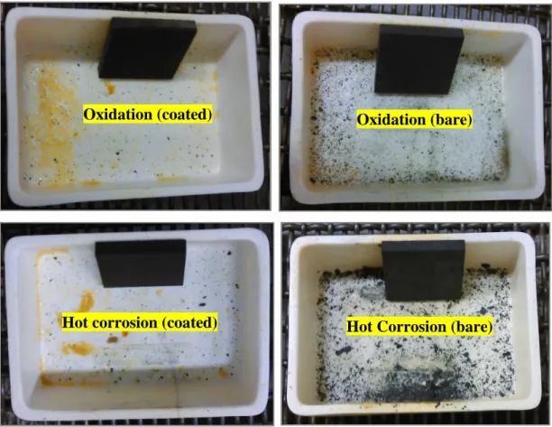 OXIDATION AND HOT CORROSION BEHAVIOR OF Cr3
