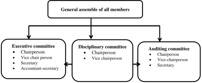 Structural organization of cooperatives - Organization of cooperatives